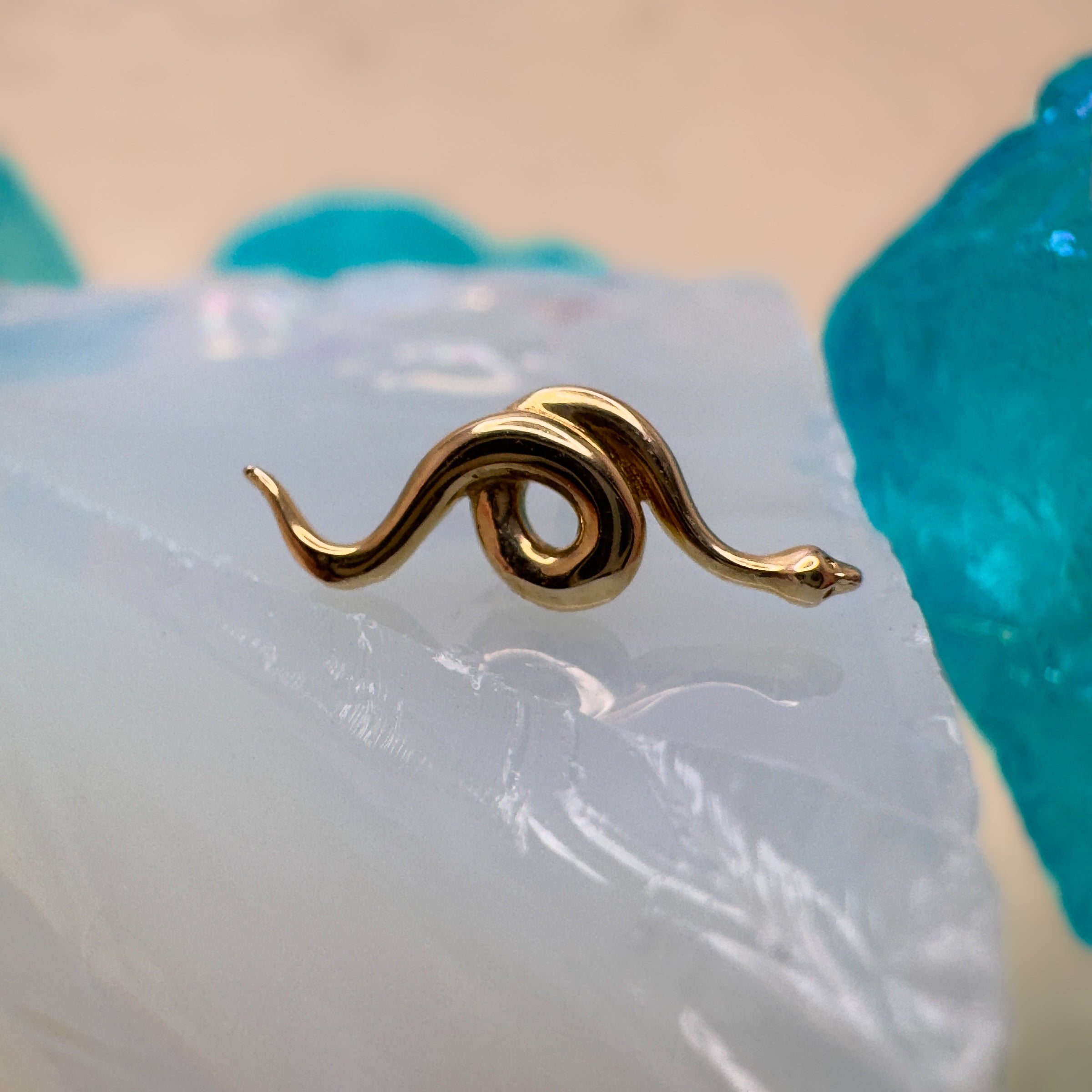 14K Swirl Snake – Atomic Body Jewelry